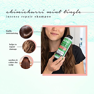 SAUCE BEAUTY Intense Repair Shampoo - Chimichurri Mint Tingle Hair Repair Shampoo - Hydrating Shampoo for Damaged Hair - Paraben and Sulfate-Free Hair Shampoo With Argan & Peppermint Oil (10 Fl Oz)