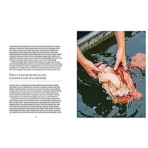 The Wild Dyer: A Maker's Guide to Natural Dyes with Projects to Create and Stitch