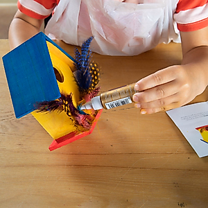 Surprise Ride Paint a Birdhouse Activity Kit STEM Learning