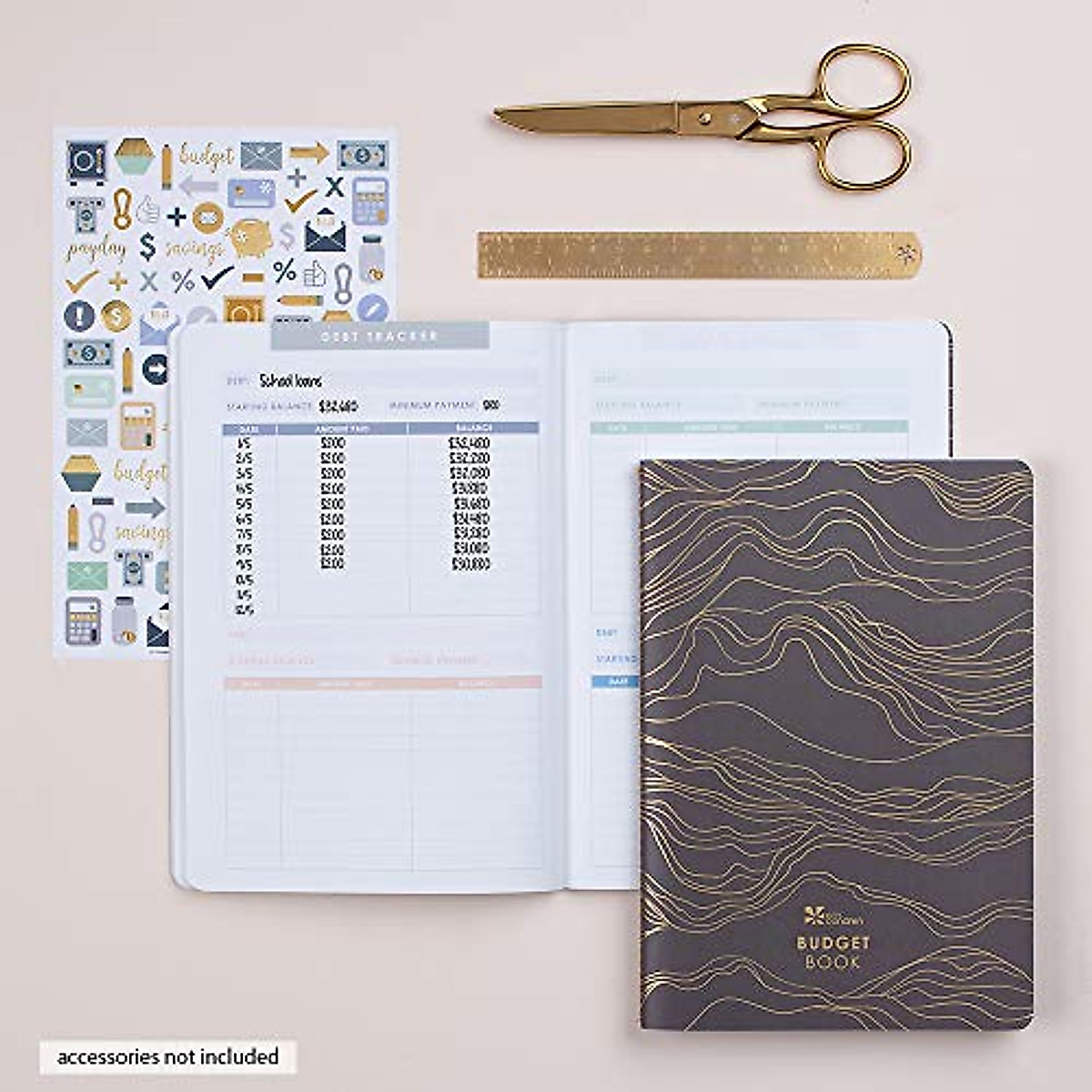 Erin Condren Designer Petite Planner - Budget Book Edition 4. Includes Spending Habit Summary, Income and Saving Tracking, and Bill Tracking. Functional Stickers