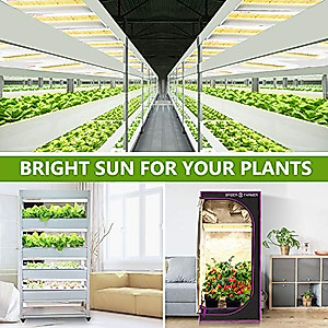 SPIDER FARMER SF-300 LED Grow Light Sunlike Full Spectrum Plant Grow Lights for Indoor Plants Hydroponics Seeding Veg Flower Energy Saving & High Efficiency Growing Lamp 192 Diodes