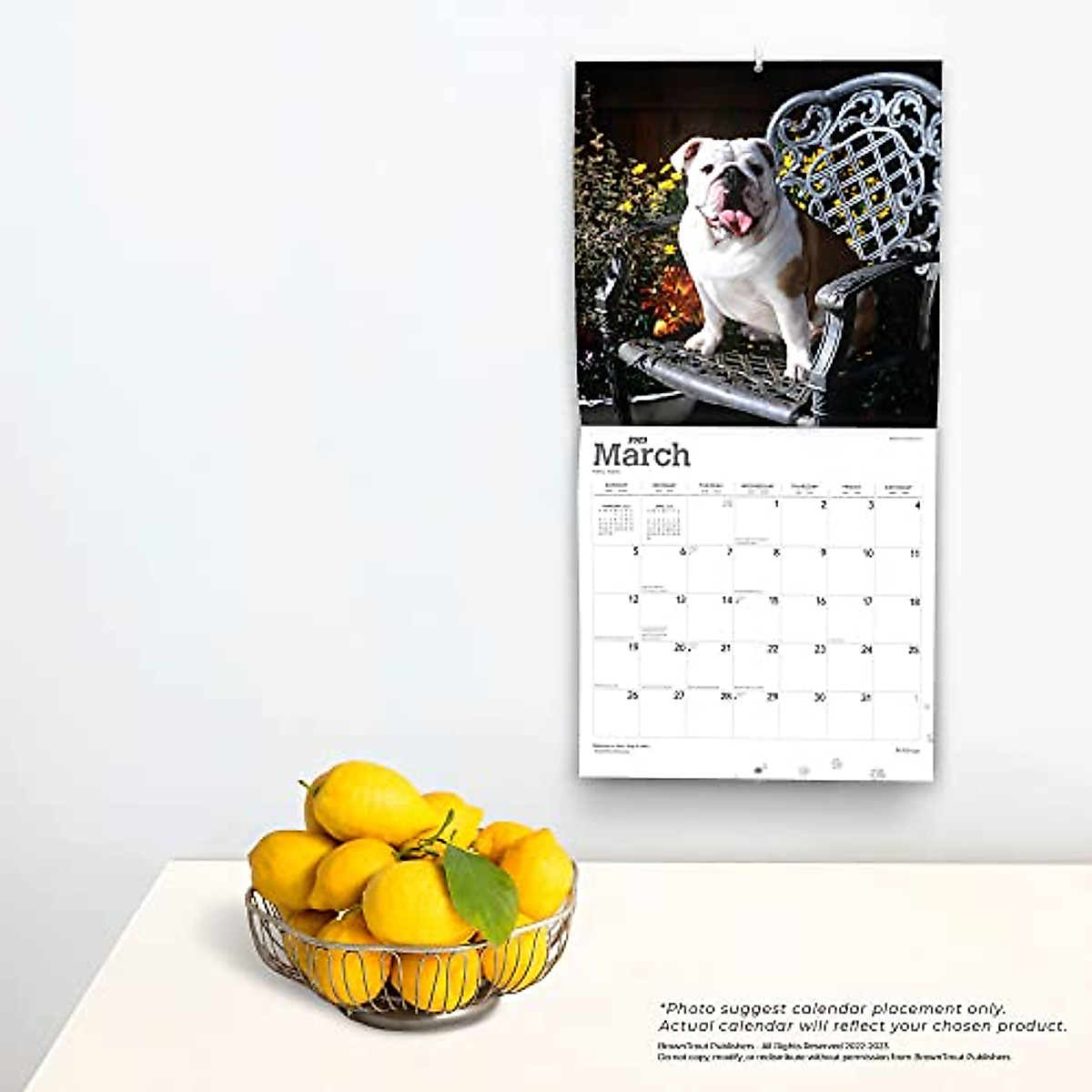 Bulldogs | 2023 12 x 24 Inch Monthly Square Wall Calendar | Foil Stamped Cover | BrownTrout | Animals Dog Breeds DogDays
