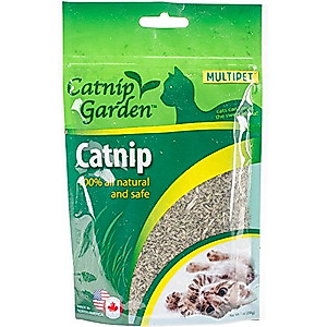 Multipet Gusseted Bag of Catnip Toy, 1 oz