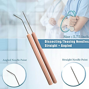 A2Z Scilab - Budget Dissection Kit for High School and College Dissections - 17 PC Kit With Glass Dropper in a Compact Zippered Case - Stainless Steel Instruments with FREE Scalpel Blades