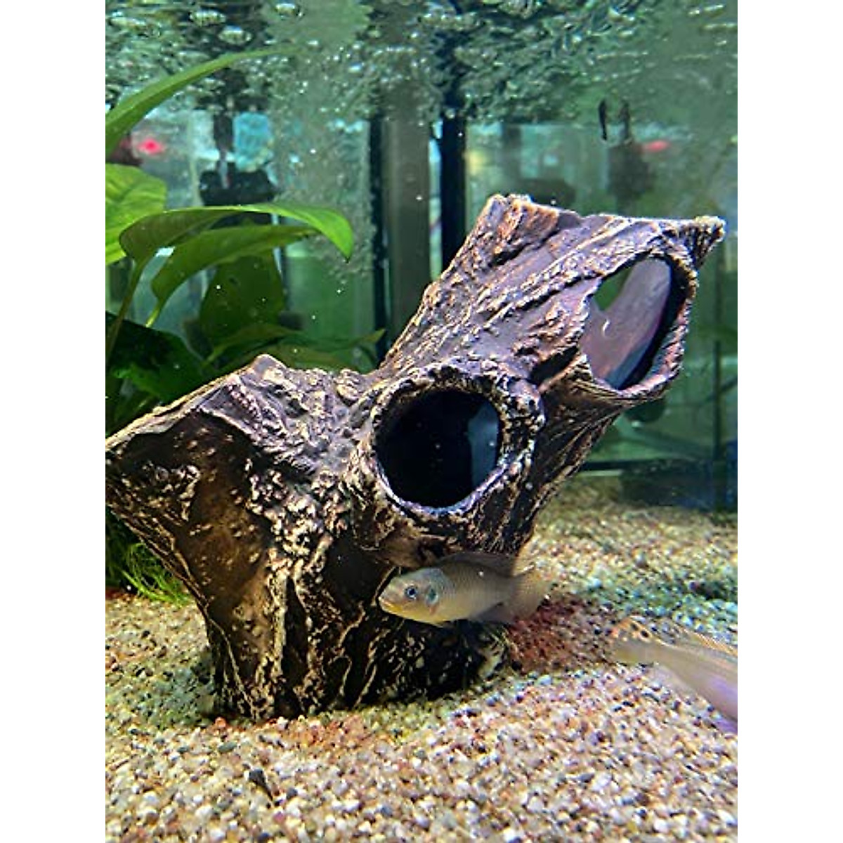 Plecoceramics Large Aquarium Cave Hiding Place for Fish Ceramic Decoration Hideout Tree Trunk Log for plecos and Cichlids