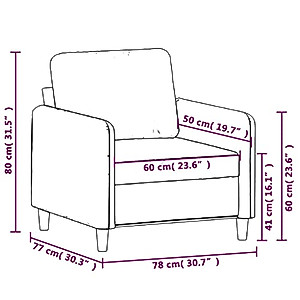 WHOPBXGAD Sofa Chair,Living Room Sofas, upholstered Sofas for Living Rooms, bedrooms, Offices and Apartments,Light Gray 23.6" Fabric