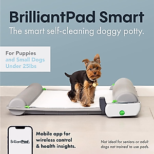 BrilliantPad Smart WiFi Enabled Indoor Dog Potty, Self-Cleaning Machine for Puppies & Small Dogs, Apple & Android Compatible App, Automatic Advancing Training Pad Roll Included
