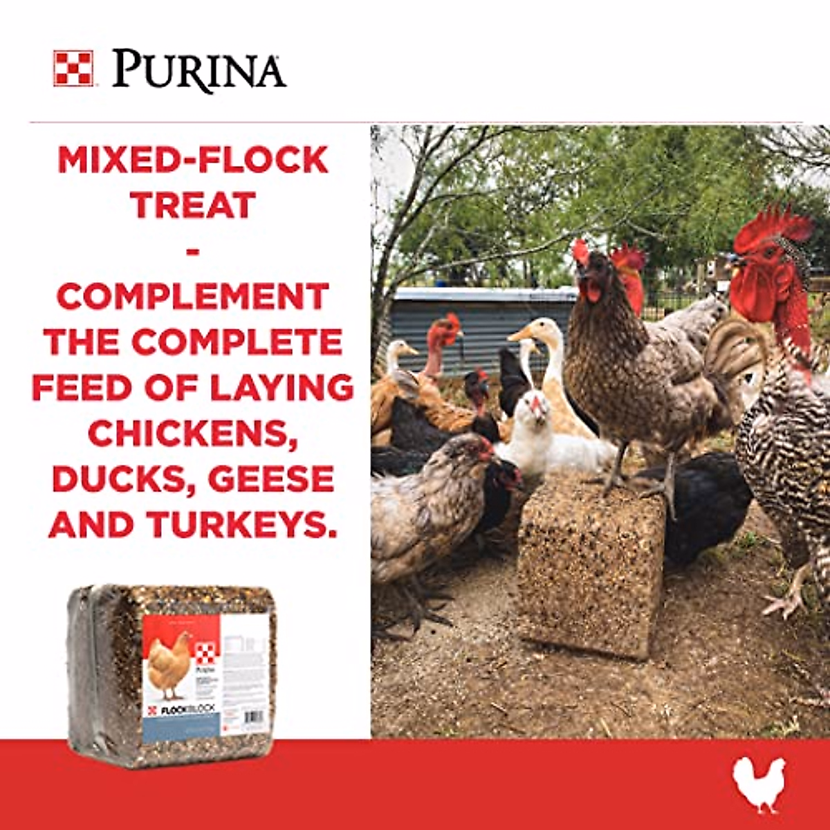 Purina Flock Block Supplement, 25 Pounds