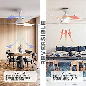 Promounts Modern All Seasons 52" Smart Ceiling Fan with Reverse Airflow, Led Lights, 3 Blades, 3 Color Temperatures, 6 Speeds, Voice App Control Compatible with Alexa/Google for Office and Home