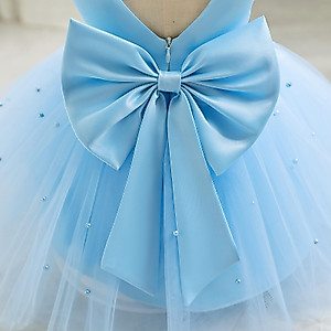 Baby Flower Girl Dress: Toddler Dress for Wedding First Communion Baptism Christening Dresses First Birthday Outfit Newborn Photoshoot Cake Smash Infant Kids Princess Tulle Gown Blue 18-24 Months