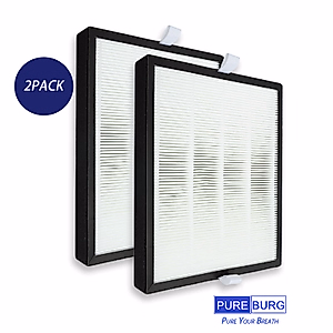 PUREBURG BS-10 True HEPA Replacement Filters Compatible with PARTU BS-10 Air Purifier,H13 3-Stage Filtration Activated carbon Air Clean Dust VOCs Odor, 2-Pack