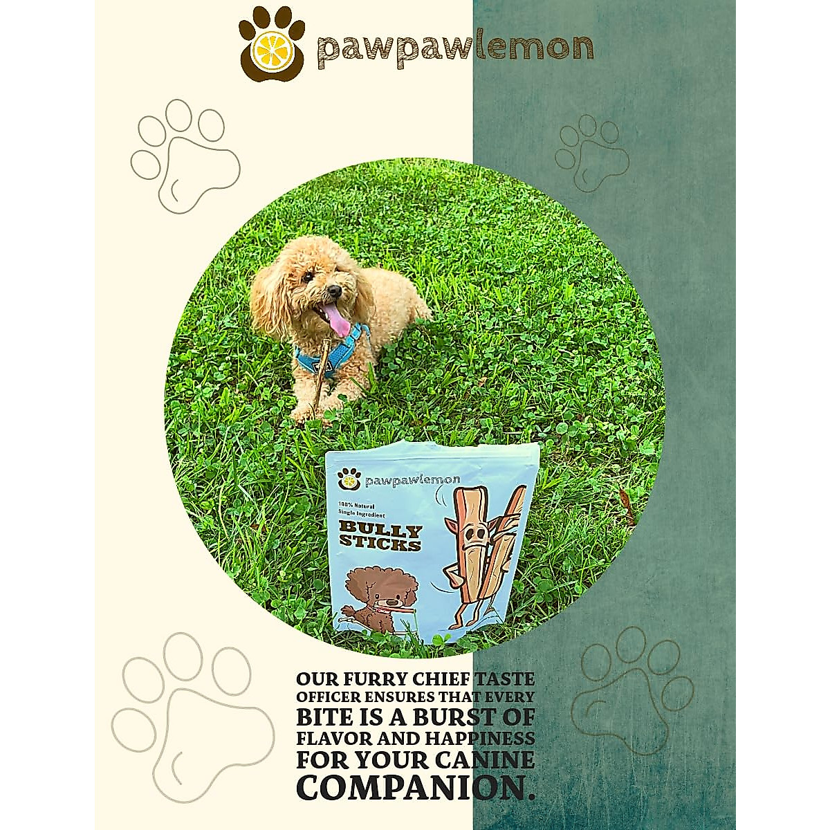 pawpawlemon Bully Sticks for Dogs (6 inch Pack of 20) | Long Lasting Natural Dog Chew | Single Ingredient 100% Beef Pizzle | Packed in The USA | Standard Thickness
