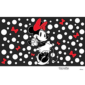 Tervis Disney Minnie Mouse Silver Triple Walled Insulated Tumbler Travel Cup Keeps Drinks Cold & Hot, 20oz, Stainless Steel