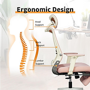 Foldable Ergonomic Office Chair with Footrest, High Back Computer Chair with 2D Headrest, Mesh Back, Sponge Seat, Adjustable Lumbar Support, 2D Armrest, Home Office Desk Chair, Pink