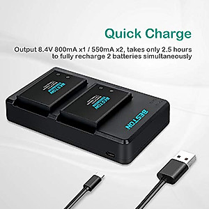 BESTON 2-Pack LP-E17 Battery and Charger Set for Canon EOS RP, Rebel T8i, T7i, T6i, T6s, SL2, SL3, EOS M3, M5, R10, M6 Mark II, 77D, 200D, 750D, 760D, 800D, 8000D Camera