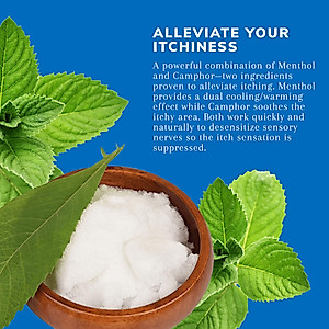 Earth's Care Anti Itch Cream - Extra Strength - Soothes Sunburns, Rashes and Minor Skin Irritation 2.4 OZ (3 Tubes)