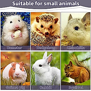 BNOSDM Guinea Pig Cage Liner Set Large Washable Hamster Fleece Bedding Anti-Slip Reusable Bunny Pee Pads with Garbage Bag Super Absorbent Small Animals Mats for Rabbits Chinchilla Hedgehog(S)