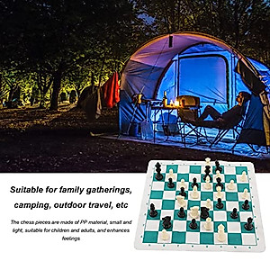 FECAMOS Roll Up Chess Board Set, Travel Chess Set Foldable Increase Feelings for Adults for Picnic for Travel(Wang Gao 65MM)