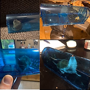 Humane Mouse Traps Indoor for Home/Outdoor, Live Catch and Release Mice Traps, No Kill Mouse Catcher, Easy to Set and Reusable Humane Trap, Safe for Families and Pets 4 Pack Blue