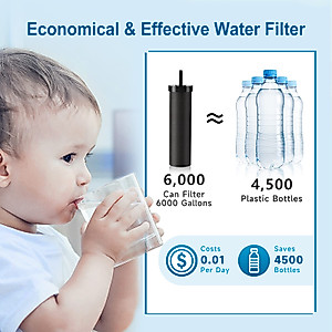 ANYHOW Water Filter,Black Purification Elements,Water Purifier Replacement Filters,Compatible with BB9-2 Water Filter,Compatible with Propur Traveler-2 Pack