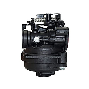 799584 Carburetor Fits for Carb TB110,TB200,P702,09P702,103M02, 550EX, 625EX, 675EX, 725EXI 163cc lawn mower replace 594058 594057 592361 594529 799584