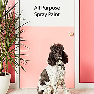 Krylon K05535007 COLORmaxx Spray Paint and Primer for Indoor/Outdoor Use, Gloss Regal Blue 12 Ounce (Pack of 1)