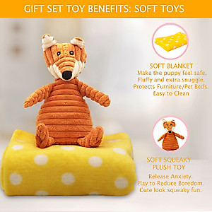 SoSoCute Yellow Dog Gift Box - Puppy Chew Toy Set of 5 - Puppy Care Package with Dog Blanket, Squeaky Plush, Rubber Puppy Teether, Teething Ball, and Treat Ball for Small and Medium Dogs