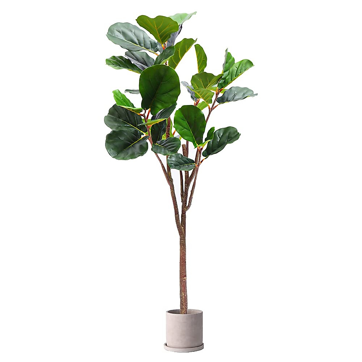 Fit Choice Fiddle Artificial Tree 5.33 Ft Fiddle Leaf Fig Tree with Realistic Nature Design and Durable Quality for Room, Office, Party, Garden (5.33 Ft Fiddle Leaf Fig), Green (533FIDDLE)
