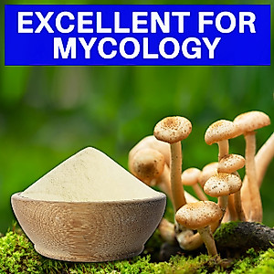 Evviva Sciences Potato Dextrose Broth - Makes ~4L of Potato Dextrose Liquid Broth, Fungal Cultivation, Mycology - Mushrooms & Science Projects, 100 Grams