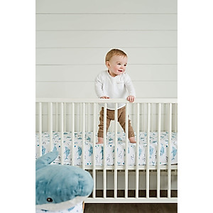 100% Cotton Fitted Crib Sheet - Premium Baby Bedding - Soft, Breathable & Durable - Shark Print