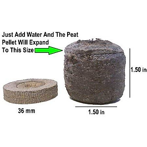 Jiffy 36mm Windowsill Greenhouse (2 Pack)