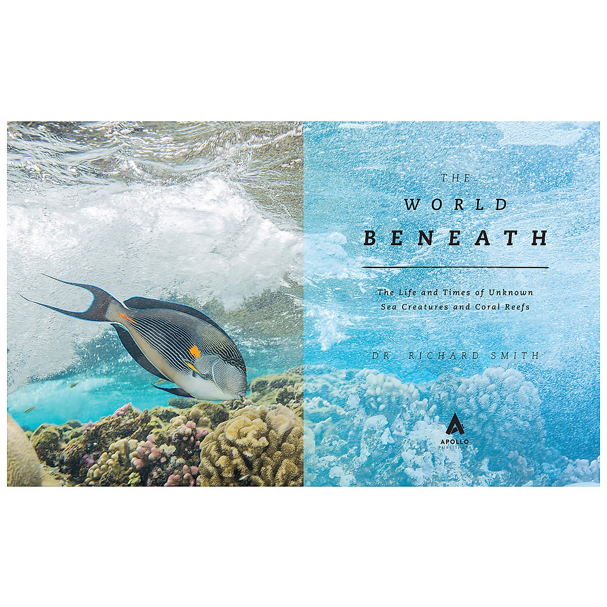 The World Beneath: The Life and Times of Unknown Sea Creatures and Coral Reefs
