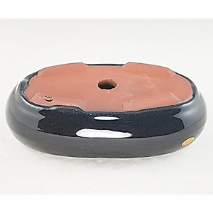 Narrow Oval Bonsai/Cactus & Succulent Pot 7.5"x 4.5"x 2" - Navy Blue Glazed