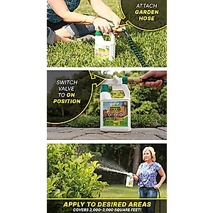 CedarStop 32 Ounce Essential Oil Yard Spray - Plant Based Flea, Tick And Mosquito Repellent Pest Control Spray Treatment And Insect Killer - Safe Around Kids, Pets, And Plants - 2 Pack