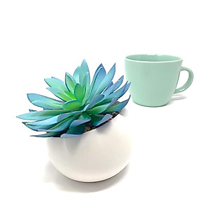 WERANDAH Artificial Faux Potted Mini Blue Succulent 4.5" | Indoor Table Top Bookshelf Dorms Home Office and Wedding Party Decor