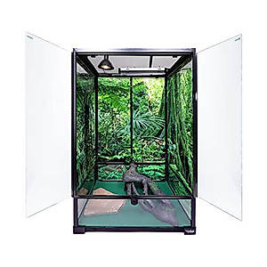 Reptile Habitat Background; Rain Forest, for 36Lx18Wx18H Terrarium, 3-Sided Wraparound