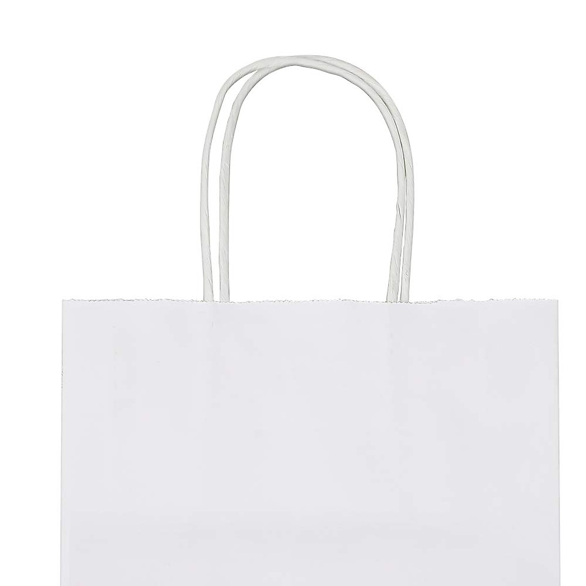 bagmad 100Pcs Pack 8x4.75x10 inch Medium White Kraft Paper Bags with Handles Bulk, Gift Bags, Craft Grocery Shopping Retail Birthday Party Favors Wedding Sacks Restaurant Takeout, Business (100)