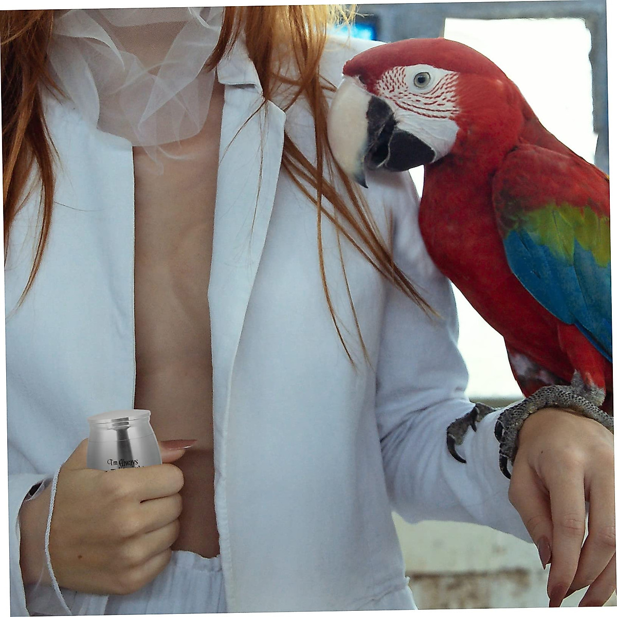 3pcs Parrot Cremation Tank Cremation Tank for Pet Funeral Cinerary Casket Memorial Cremation Tank Parrot Ashes Urn Cinerary Casket for Pet Cat Cremation Tank Parrot Cinerary Casket