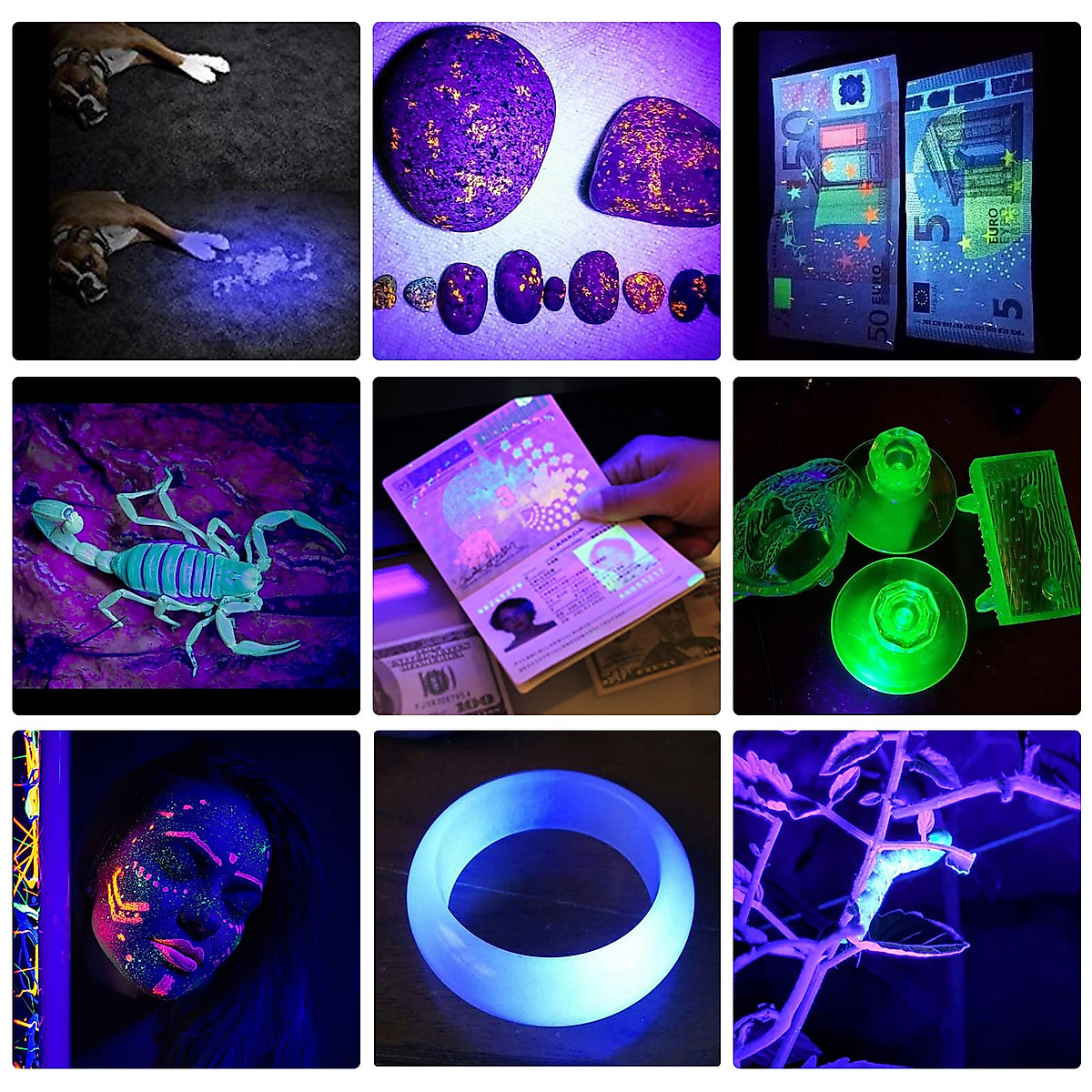 EOWCO UV Flashlight 365nm & 395nm, Ultraviolet Black Light Flashlights, Handheld Zoomable Blacklight Torch Wood's Lamp, Detector for Pet Urine Dry Stains, Resin Curing, Rocks, Scorpions Finder