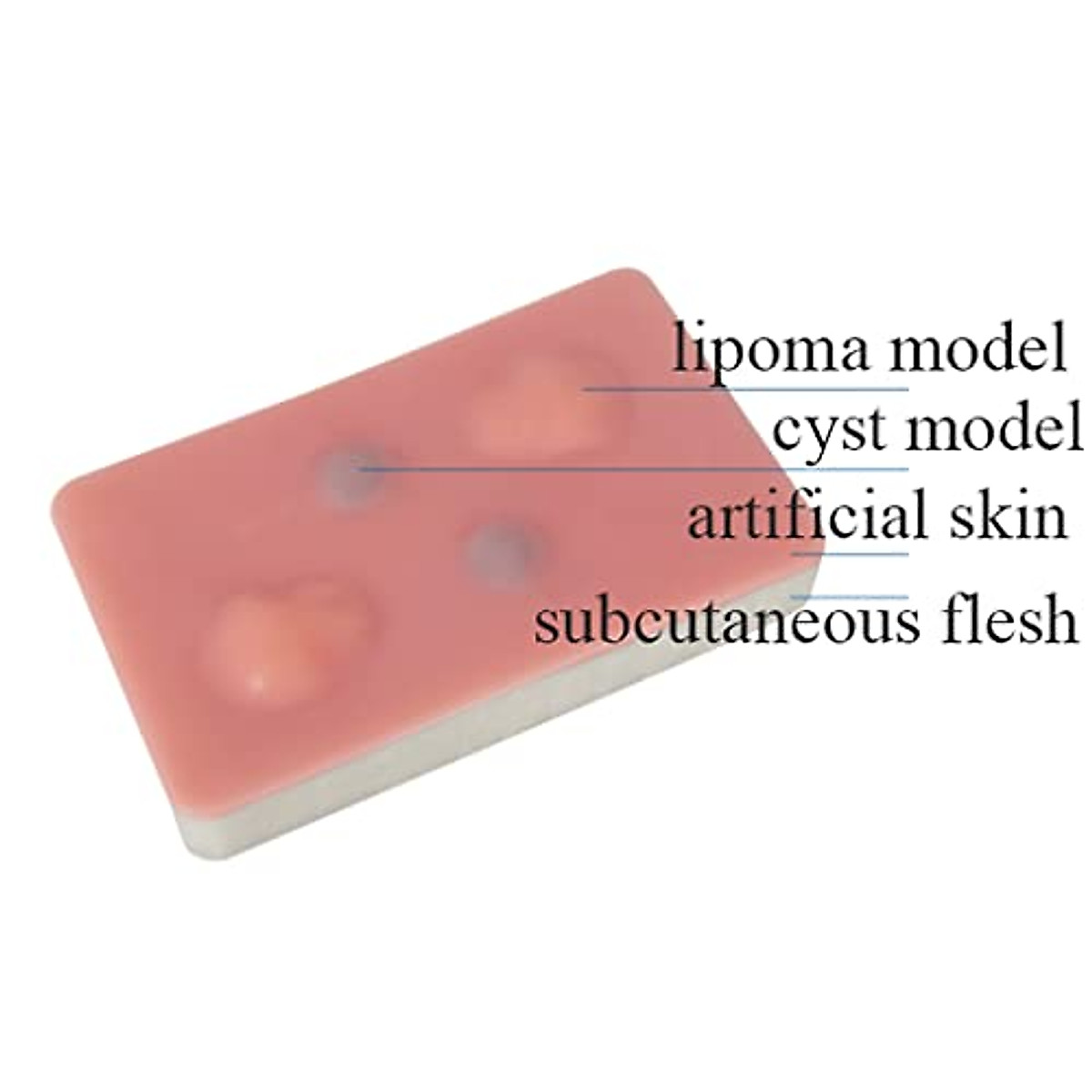 Model Teaching Model Cyst Model Skin Cyst Excision Model Training Suture Pad Skin Model Lipoma Model for Medical Practice for Teaching