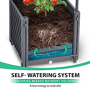 Raised Garden Bed Tomato Planter Trellis for Garden Planter for Tomato Pots for Growing Tomatoes Planter Box Outdoor Self Watering Metal Tube Trellis