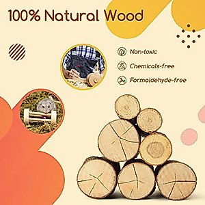 Nobleza Guinea Pig Toys, 7 Pack Natural Wooden Hamster Chew Toy Set, Teeth Care Molar Exercise Toys for Pet Rats, Dwarf Syrian Hamsters, Chinchillas, Gerbils