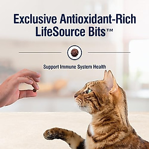 Blue Buffalo True Solutions Blissful Belly Digestive Care Natural Dry Food for Adult Cats, Chicken, 3.5-lb Bag