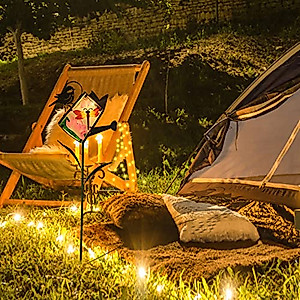 WUFEILY Solar Outdoor Lights Decorative, Dragonfly Garden Decor Glass Solar Watering Can with Cascading Lights Solar Garden Lights Yard Art Garden Stakes for Walkway, Pathway, Yard, Lawn, Patio