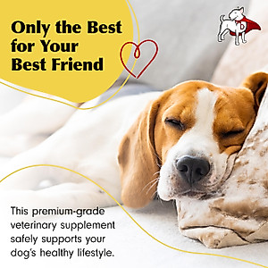 Doggyd Vitamin D3 Liquid for Dogs Cats, 60mL, 60 Count at 1ml Dose