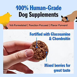 PetPlate Hip Hopping Soft Chews for Dogs, Hip and Joint Supplements, Organic and Human-Grade Ingredients, Mobility Support, Pet Supplies (Pack of 1, 9.8 Ounce)