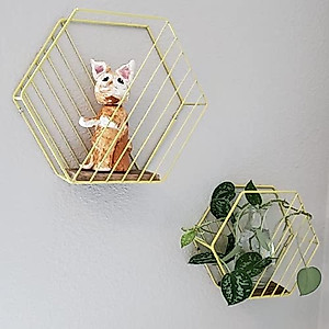 ZBD GOODS Parent Shelf (Black)