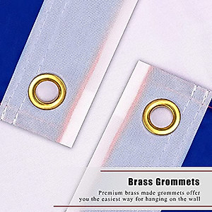 DANF French France Flag 3x5 ft Thicker Polyester French National Flags Double Sided with Two Brass Grommets 3x5 Foot Flag