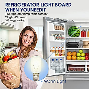 Txdiyifu T8 25W Refrigerator Light Bulb 297048600 241552802 Replacement for Whirlpool KitchenAid Electrolx Kenmore Frigidaire Light Bulb