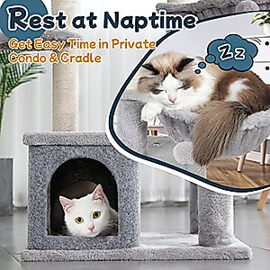 rabbitgoo Cat Tree for Indoor Cats, 33" Cat Tower Condo with Scratching Posts for Kittens, Small Cat Climbing Stable Stand with Toys & Plush Perch for Feline Play Rest, Multi-Level Pet Activity Center